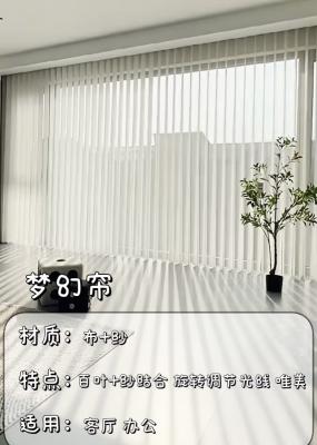 Cina Automatico a batteria azionato a motore blackout zebra persiane a rulli tende per Windows Zigbee APP in vendita