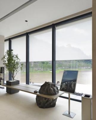 Cina Automatico a batteria azionato a motore blackout zebra persiane a rulli tende per Windows Zigbee APP in vendita