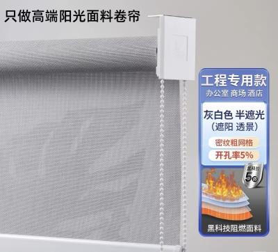 Cina Automatico a batteria azionato a motore blackout zebra persiane a rulli tende per Windows Zigbee APP in vendita