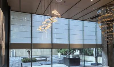 Cina Automatico a batteria azionato a motore blackout zebra persiane a rulli tende per Windows Zigbee APP in vendita