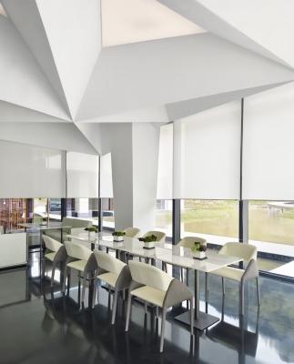 Cina Automatico a batteria azionato a motore blackout zebra persiane a rulli tende per Windows Zigbee APP in vendita