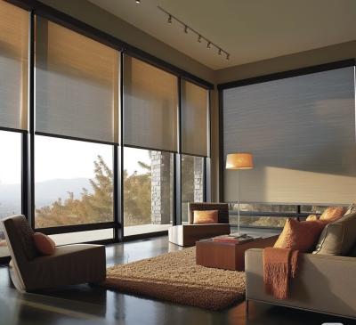 Cina Automatico a batteria azionato a motore blackout zebra persiane a rulli tende per Windows Zigbee APP in vendita