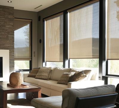 Cina Automatico a batteria azionato a motore blackout zebra persiane a rulli tende per Windows Zigbee APP in vendita