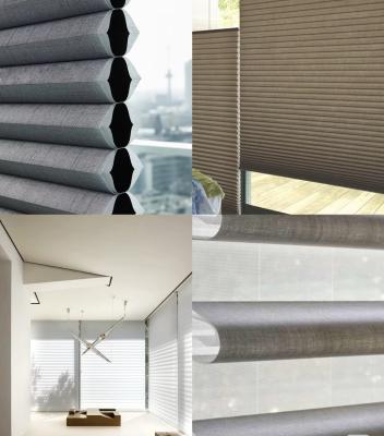 Cina Automatico a batteria azionato a motore blackout zebra persiane a rulli tende per Windows Zigbee APP in vendita