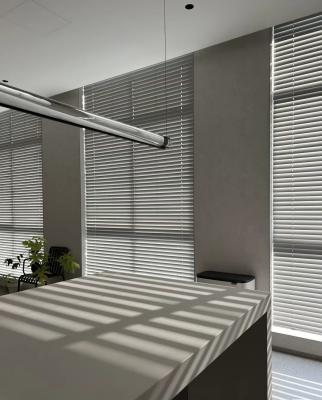 Cina Automatico a batteria azionato a motore blackout zebra persiane a rulli tende per Windows Zigbee APP in vendita