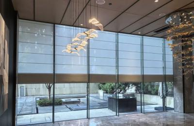 Cina Automatico a batteria azionato a motore blackout zebra persiane a rulli tende per Windows Zigbee APP in vendita