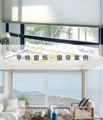 Cina Automatico a batteria azionato a motore blackout zebra persiane a rulli tende per Windows Zigbee APP in vendita