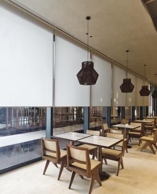 Cina Automatico a batteria azionato a motore blackout zebra persiane a rulli tende per Windows Zigbee APP in vendita