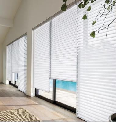 Cina Automatico a batteria azionato a motore blackout zebra persiane a rulli tende per Windows Zigbee APP in vendita