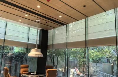 Cina Automatico a batteria azionato a motore blackout zebra persiane a rulli tende per Windows Zigbee APP in vendita