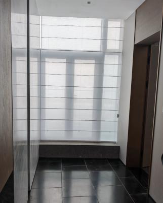 Cina Automatico a batteria azionato a motore blackout zebra persiane a rulli tende per Windows Zigbee APP in vendita