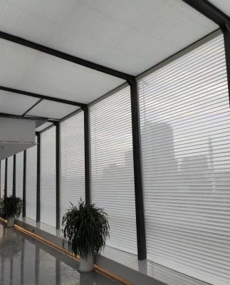 Cina Automatico a batteria azionato a motore blackout zebra persiane a rulli tende per Windows Zigbee APP in vendita