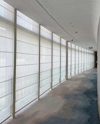 Cina Automatico a batteria azionato a motore blackout zebra persiane a rulli tende per Windows Zigbee APP in vendita