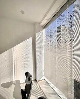 Cina Automatico a batteria azionato a motore blackout zebra persiane a rulli tende per Windows Zigbee APP in vendita