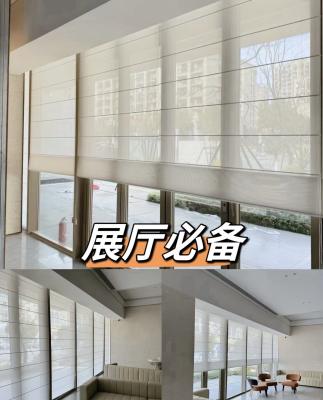 Cina Automatico a batteria azionato a motore blackout zebra persiane a rulli tende per Windows Zigbee APP in vendita