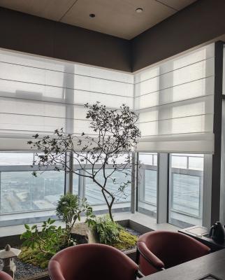 Cina Automatico a batteria azionato a motore blackout zebra persiane a rulli tende per Windows Zigbee APP in vendita