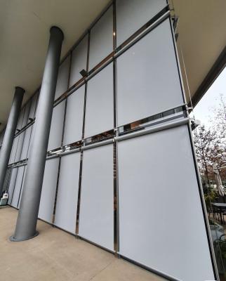 Cina Automatico a batteria azionato a motore blackout zebra persiane a rulli tende per Windows Zigbee APP in vendita