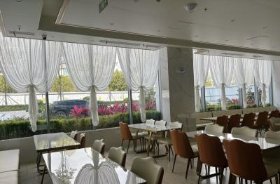 Cina Automatico a batteria azionato a motore blackout zebra persiane a rulli tende per Windows Zigbee APP in vendita