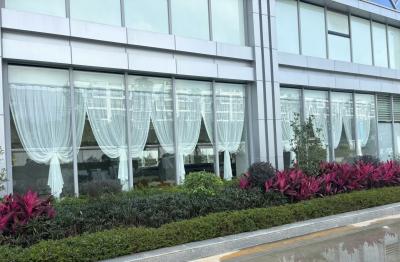 Cina Automatico a batteria azionato a motore blackout zebra persiane a rulli tende per Windows Zigbee APP in vendita