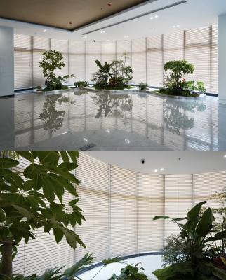 Cina Automatico a batteria azionato a motore blackout zebra persiane a rulli tende per Windows Zigbee APP in vendita