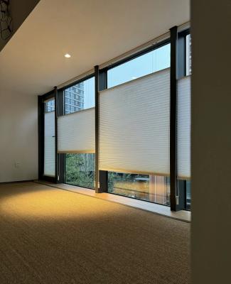 Cina Automatico a batteria azionato a motore blackout zebra persiane a rulli tende per Windows Zigbee APP in vendita