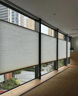 Cina Automatico a batteria azionato a motore blackout zebra persiane a rulli tende per Windows Zigbee APP in vendita