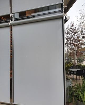 Cina Automatico a batteria azionato a motore blackout zebra persiane a rulli tende per Windows Zigbee APP in vendita