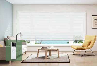 Cina Automatico a batteria azionato a motore blackout zebra persiane a rulli tende per Windows Zigbee APP in vendita