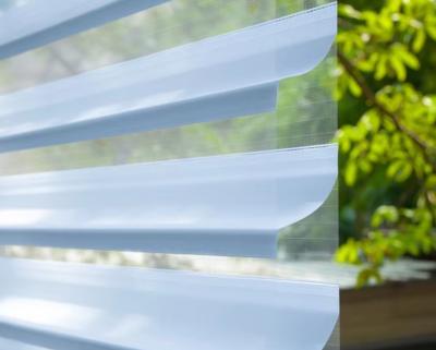 Cina Automatico a batteria azionato a motore blackout zebra persiane a rulli tende per Windows Zigbee APP in vendita