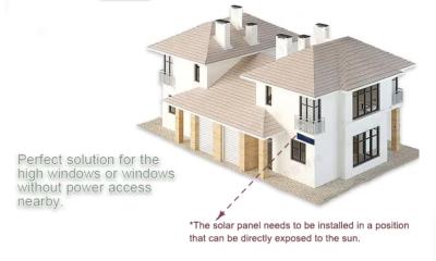Cina Automatico a batteria azionato a motore blackout zebra persiane a rulli tende per Windows Zigbee APP in vendita