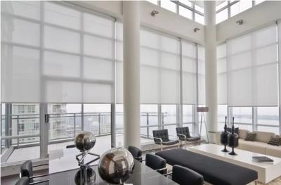 Cina Automatico a batteria azionato a motore blackout zebra persiane a rulli tende per Windows Zigbee APP in vendita