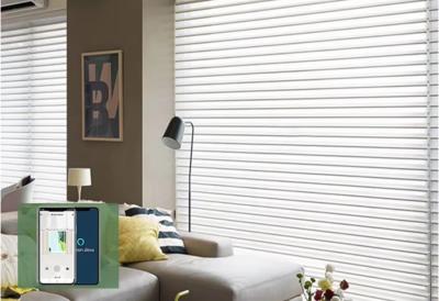 Cina Automatico a batteria azionato a motore blackout zebra persiane a rulli tende per Windows Zigbee APP in vendita