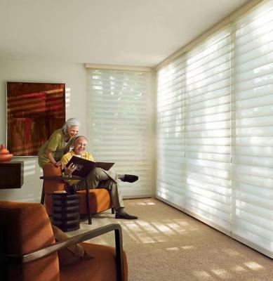 Cina Automatico a batteria azionato a motore blackout zebra persiane a rulli tende per Windows Zigbee APP in vendita