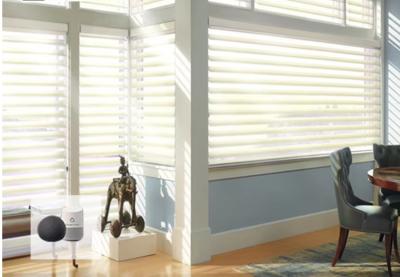 Cina Automatico a batteria azionato a motore blackout zebra persiane a rulli tende per Windows Zigbee APP in vendita