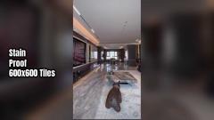 Modern 600x600mm Ceramic Tile with High Stain Resistance and Less than 0.5% Water Absorption