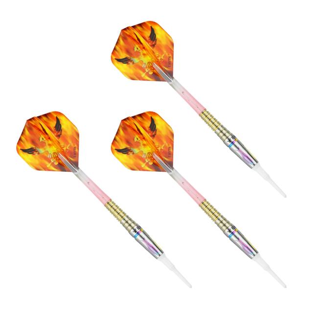 Professional darts in case showing quality craftsmanship