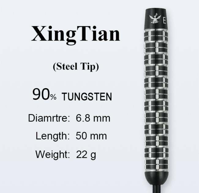 Professional steel tip dart set with case