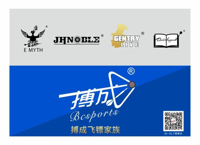 BCSPORTS 2BA Standard Dart Flights