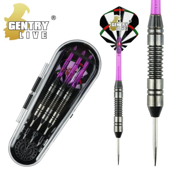 Quality Gentry Live 14-28g Mail Box Brass Steel Darts Set for sale