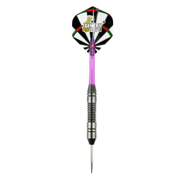 Quality Gentry Live 14-28g Mail Box Brass Steel Darts Set for sale
