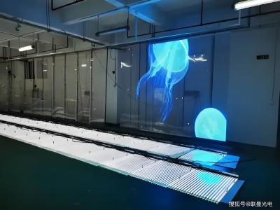 China p14 Transparant LED Screen  Innovative Solution for Vibrant and Transparent Displays in Retail Stores and Corporate Buildings for sale