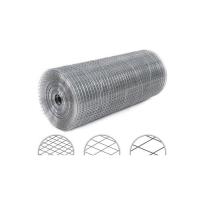 China Silver Color Electro Galvanized Welded Wire Mesh For Construction Industry for sale