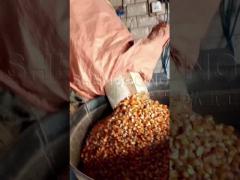Flat die granulator Corn pelletized cylindrical particles