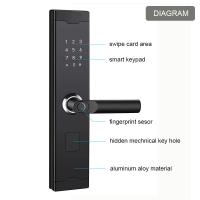 China Fingerprint Electronic House Main Door Lock With Fingerprint Passcode for sale