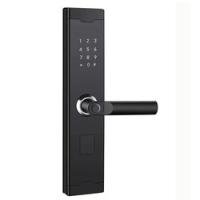China Fingerprint Electronic House Main Door Lock With Fingerprint Passcode for sale