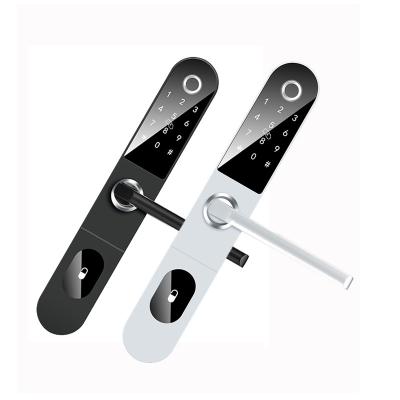 Cina Slim European Standard Mortise Smart Fingerprint Door Lock With TT LOCK APP in vendita