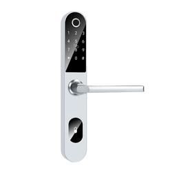 Cina Slim European Standard Mortise Smart Fingerprint Door Lock With TT LOCK APP in vendita