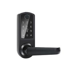 Cina WiFi Biometric Fingerprint Digital Keyless Door Lock Aluminium Alloy in vendita