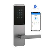 China APP Electric Password Smart Lock OEM Anti Theft Door Lock for sale