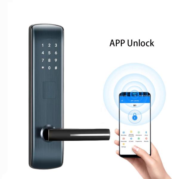 Touch Screen FCC Intelligent Door Lock 300mm Electronic Combination Door Lock